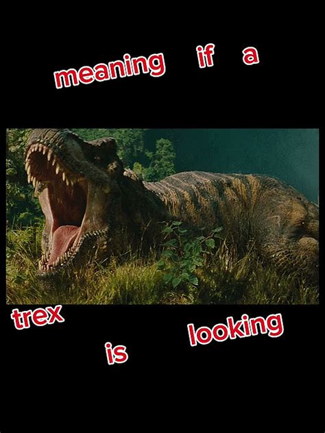 Trex Is Looking At You Youtube