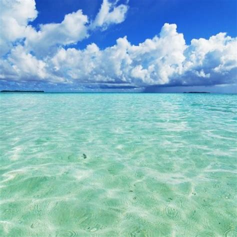 Stream Cedrix Stars Background 😻free Download By Elvedalar Listen Online For Free On Soundcloud