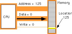 Pengertian Address Bus Data Bus Control Bus Processor