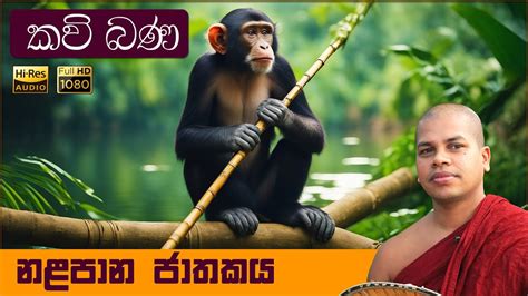 Nalapana Jathakaya නළපාන ජාතකය Sinhala Kavi Bana සිංහල කවි බණ Youtube