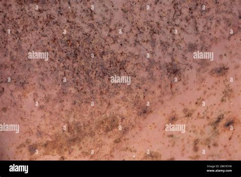 Bright Rust Stains Texture Paint Showing Through To Rust Underneath Stock Photo Alamy