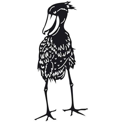 Shoebill Birds 13 Dxfforcnc