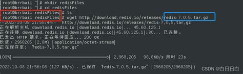 Redis（ 入门篇 ＞ Linux系统下安装及启动and图形化界面linnux 安装 Redis Desktop Manager 可视化