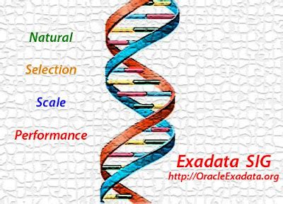 Oracle Exadata Oracle Exadata SIG Logo