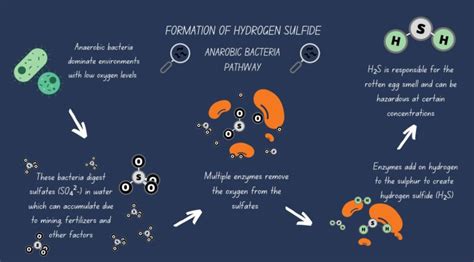 H2S What Is It And How To Treat It Bubble Tubing