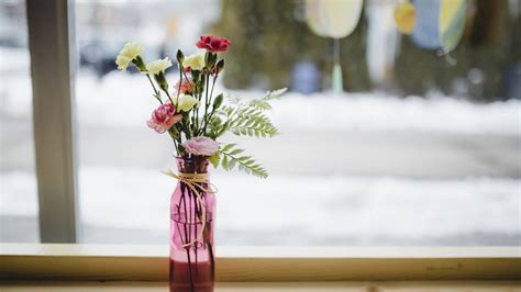 Japanese Man Shocked To See His Grandad Using A Sex Toy As A Vase Heart