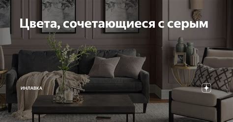 Цвета сочетающиеся с серым Инлавка Дзен