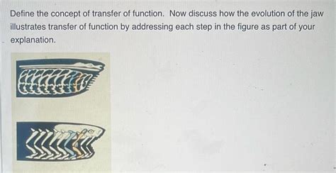Answered Define The Concept Of Transfer Of Function Now Discuss How