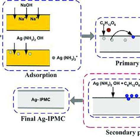Fabrication Procedure For Ag Ionic Polymer Metal Composite Actuator Download Scientific Diagram