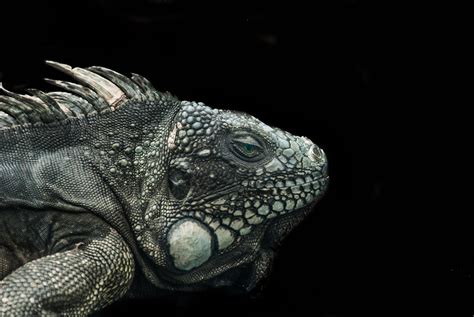 Understanding Zariski Topology Part2 Differential Geometry By Monodeep Mukherjee Aug 2022