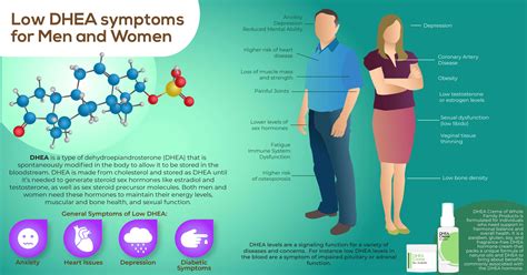 What Are The Symptoms Of Low Dhea In Men And Women