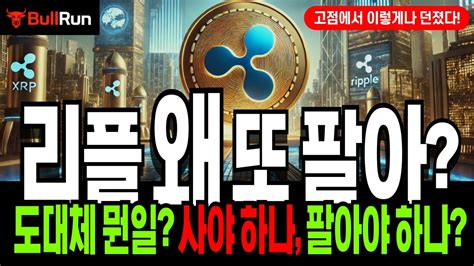 리플 전망 🚀 Xrp 코인 전략 엑스알피 왜 또 팔아 이렇게나⚡ 리플 도대체 뭔일 사야 하나 팔아야 하나 🚨 고점에서 이렇게나 던졌다 리플 Youtube