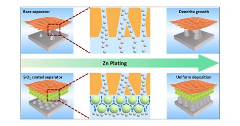 regulating dendrite free zn deposition by a self assembled oh