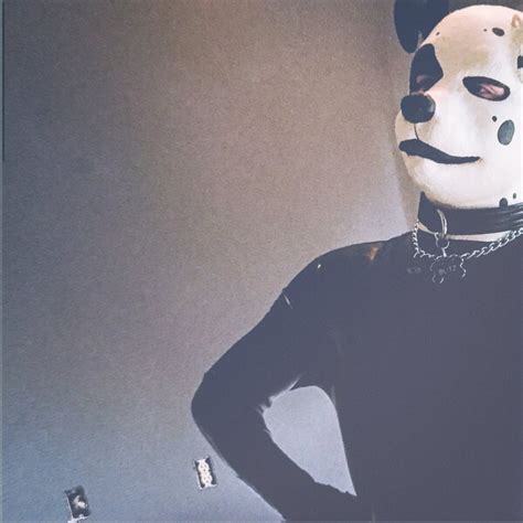 Please Be Shocked By The Vets Fetching Album Ambient Reviews Ratings Credits Song List