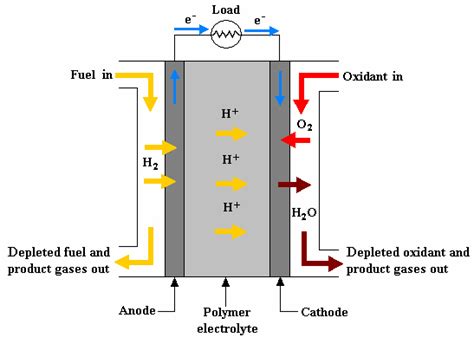 Flow Patterns Of Anode And Cathode Fluids In Fuel Cell Plates Tmnetch