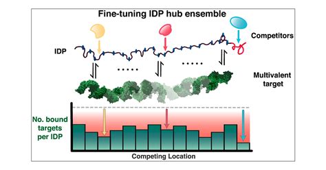 Thermodynamic Models For Assembly Of Intrinsically 46 Off