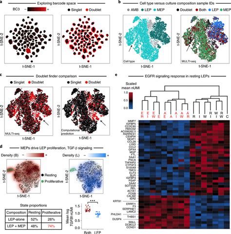 Multi Seq Barcoding Of Multiplexed Hmec Culture Conditions A Barcode