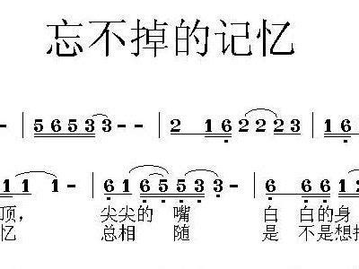 忘不掉的记忆 歌谱 简谱