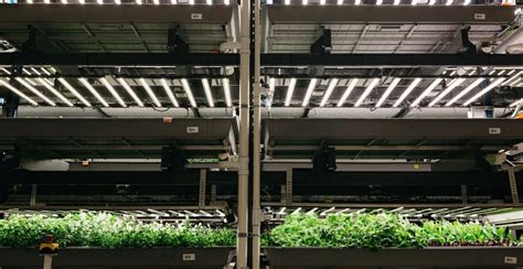 What Is A Plant Factory