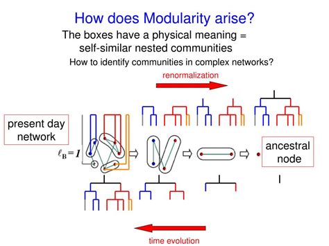 Ppt Scaling Renormalization And Self Similarity In Complex Networks