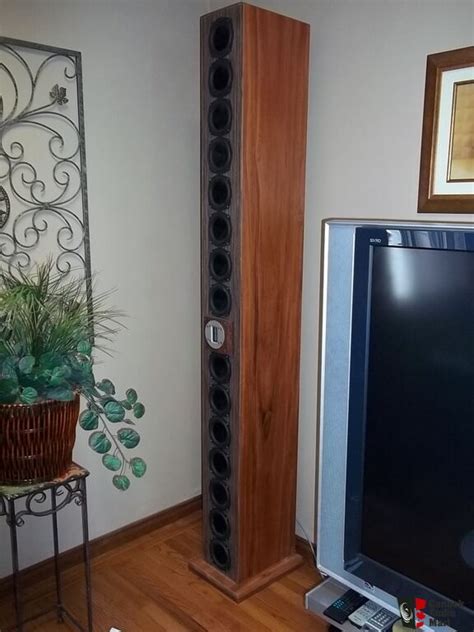 CUSTOM BUILD LINE ARRAY Photo 781896 Canuck Audio Mart