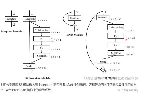 深度学习 第j5周：densenet se net实战 csdn博客