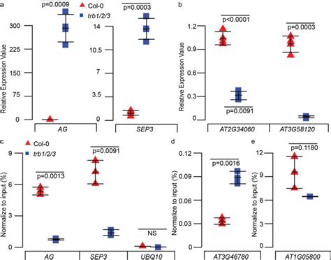 Quantitative PCR Validation Of RNA Seq And H3K27me3 ChIPseq Data In Download Scientific