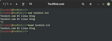 How To Create A File In Linux From Command Line