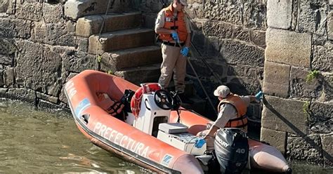 Muerte Y Misterio En Puerto Madero Hallaron El Cadáver De Un Hombre