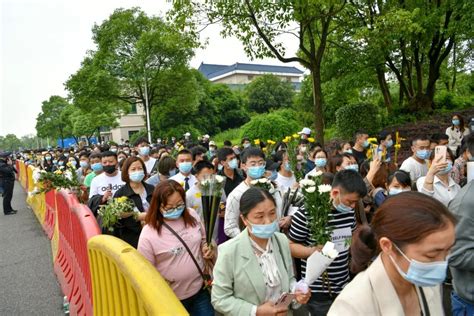 今天一起送别袁隆平院士 澎湃号政务 澎湃新闻 The Paper