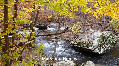 A Locals Guide To Living In Elkridge Maryland