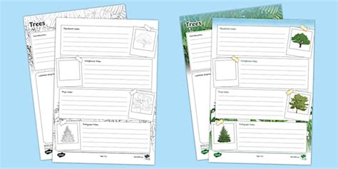 Trees Non Chronological Report Template Professor Feito