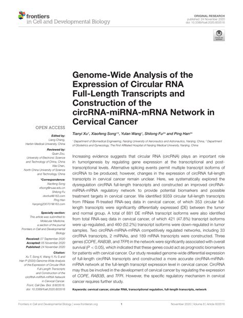 PDF Genome Wide Analysis Of The Expression Of Circular RNA Full Length Transcripts And