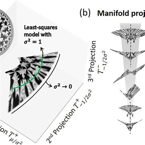 Viewing Heaven And Hell In Minkowski Space The Gaussian Fit Manifold Download Scientific