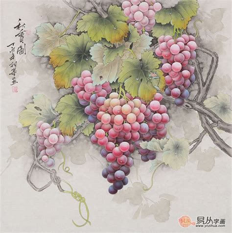 高清葡萄图 葡萄图 葡萄图管理 第7页 大山谷图库