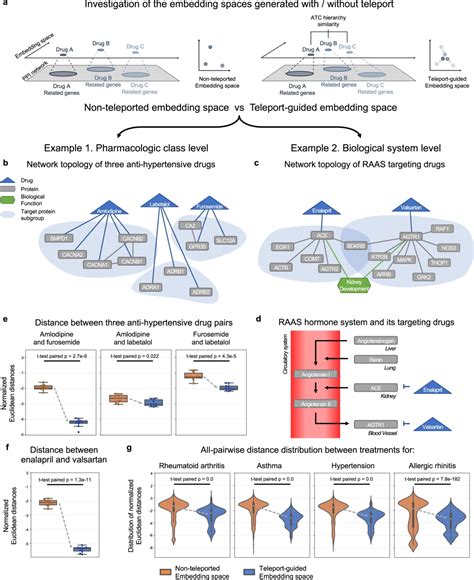 生物医药知识图谱学习新框架 Nat Commun 速递 集智俱乐部