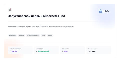 Запустите свой первый kubernetes pod labex
