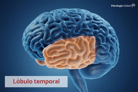 Lóbulo Temporal Psiquismo