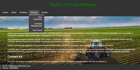 Immanuel B On Linkedin Webdevelopment Internship Html Css