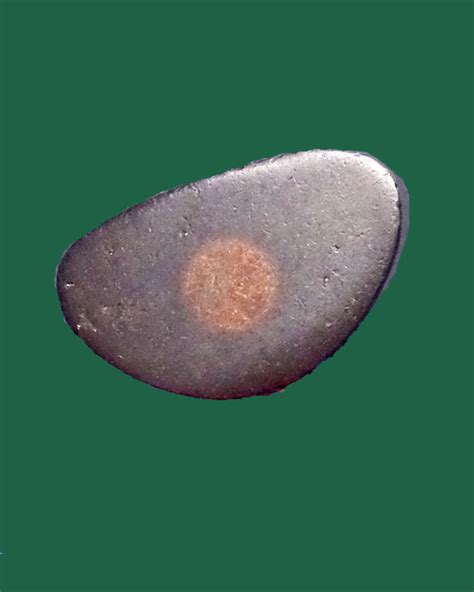 พระพุทธอโนมมงคล วัดอนัมนิกายาราม วัดญวณบางโพ วัดกว๋างเพื๊อกตื่อ พระเครื่อง พระแท้ Webpra