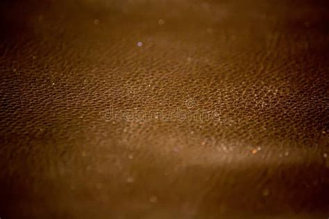 Python Skin Texture Genuine Leather Stock Photo Image Of Color Fashion