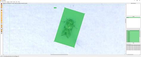 400 Bounty On A Ui Improvement To A Data Labelling Software Mothbox