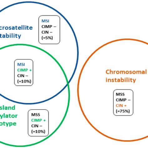 Simplified Molecular Subgroups Of Colorectal Cancers There Are Three Download Scientific