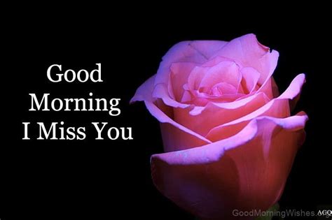 30 Good Morning I Miss You Wishes And Images Good Morning Wishes