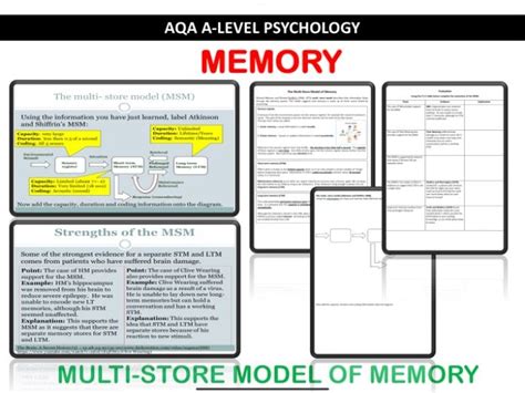 AQA A Level Psych Memory Multi Store Model Teaching Resources