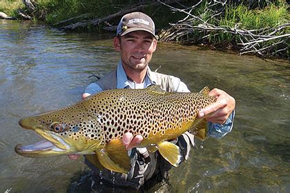 West Virginia Trout Forecast
