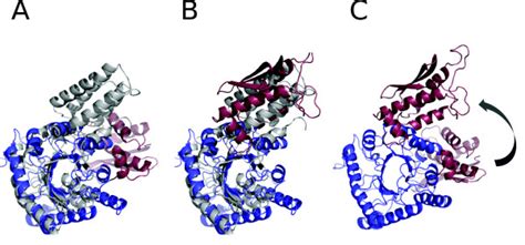 A Conformational Transformation Candidate As Modeled By Structural Download Scientific Diagram