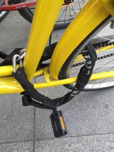 共享單車一面國民素質的照妖鏡 每日頭條