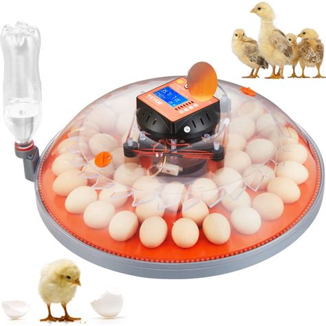 Vevor 48 Egg Incubator Incubators For Hatching Eggs 360° Automatic