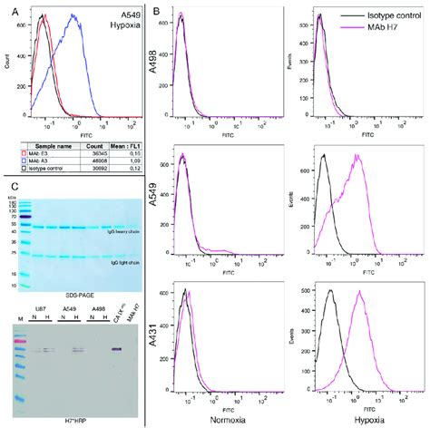 A Flow Cytometry Histograms Of Apoptosis Induce By Pi Method In Ct26 Flow Cytometry Analysis
